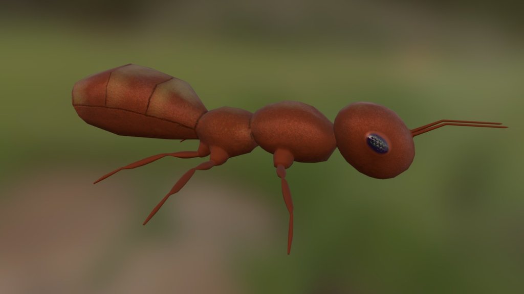 Red Ant Soldier - 3D model by BradleyDeanS [cf1d9dc] - Sketchfab
