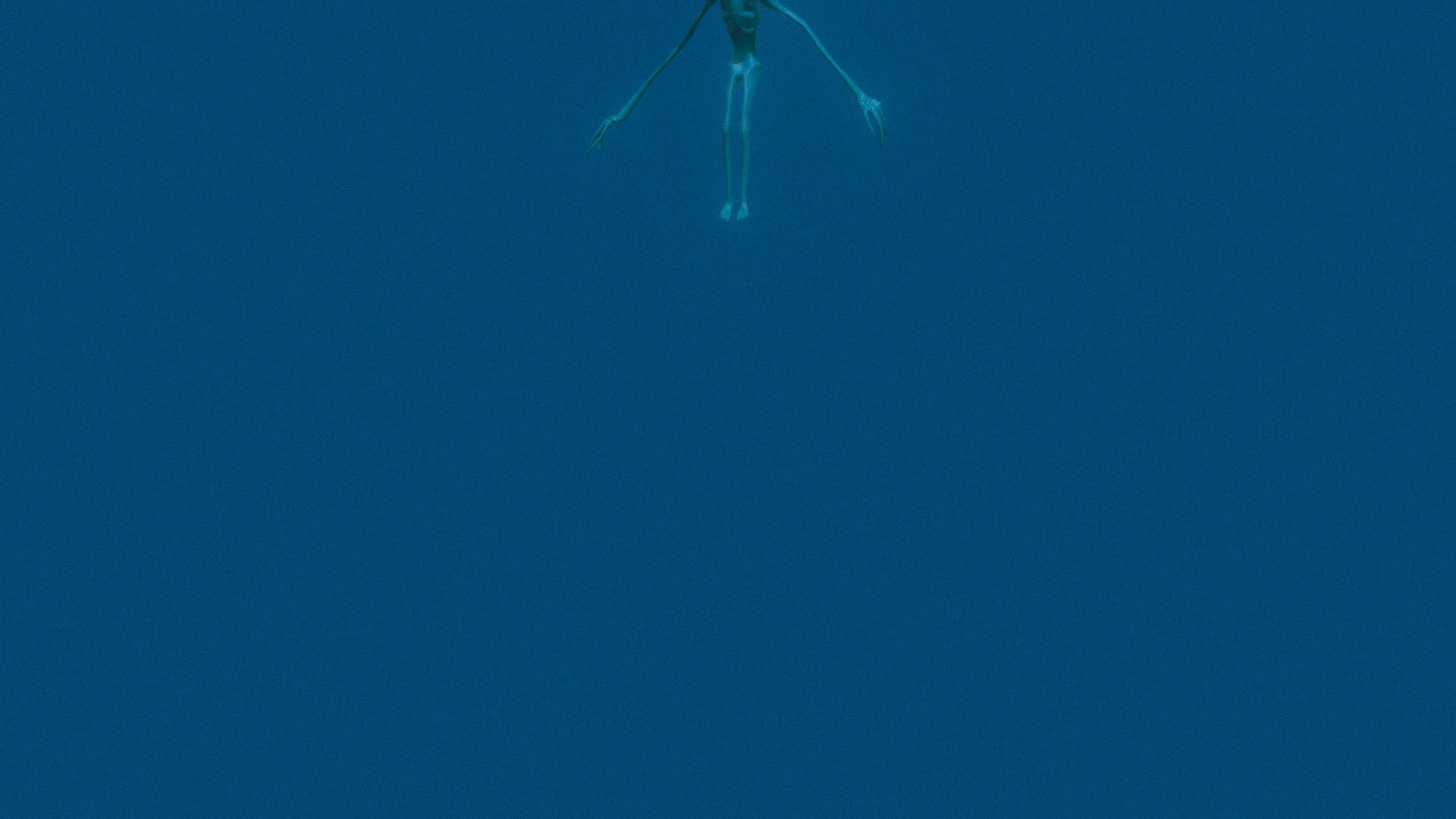 Siren Head Falling Into Pool - Download Free 3D model by Edward Johnson ...