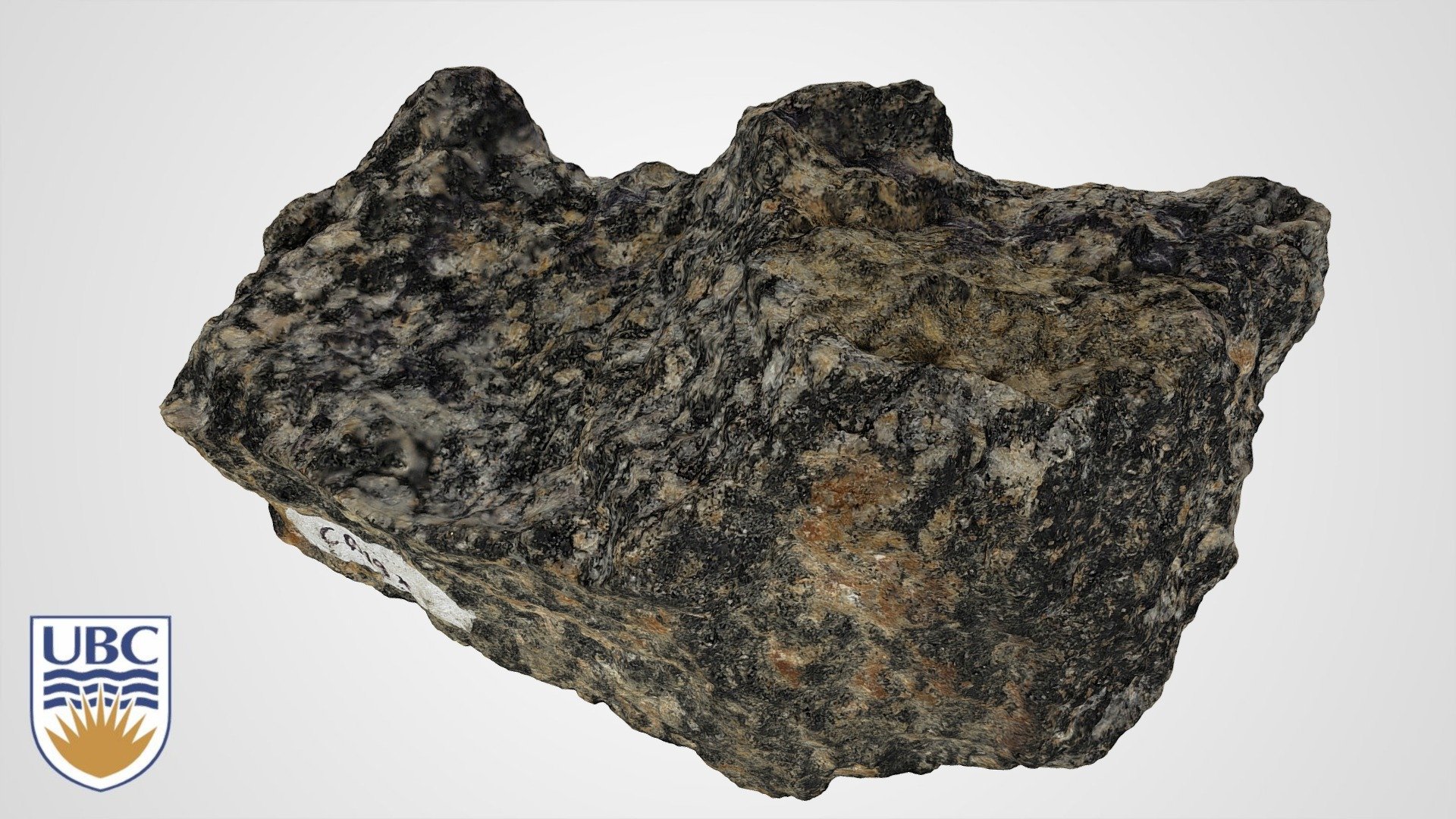 C019x (granitoid) - 3D model by Nichole Moerhuis (UBC Geology ...