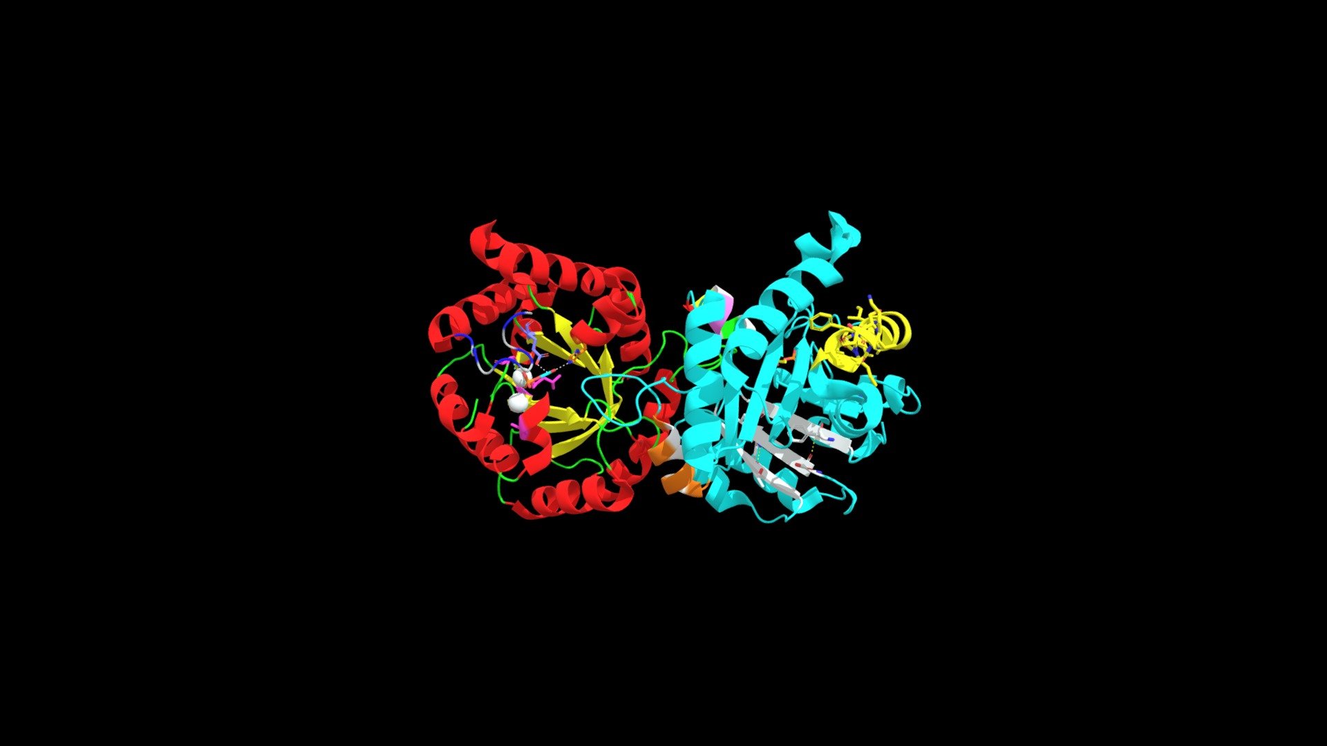 Human Triosephosphate Isomerase - 3D model by DL2554 [cf39998] - Sketchfab