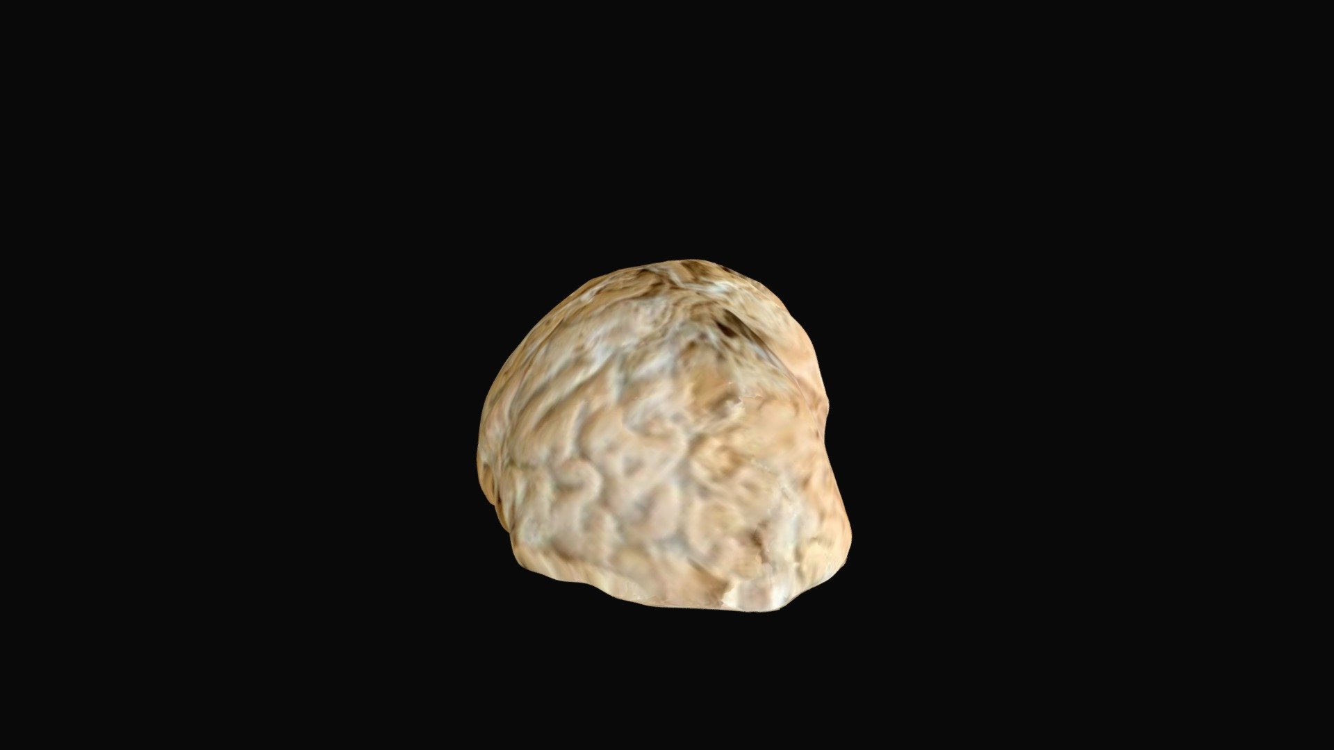 Brain (3D scanned with Labels) - 3D model by UW-Madison NTP (@UW ...