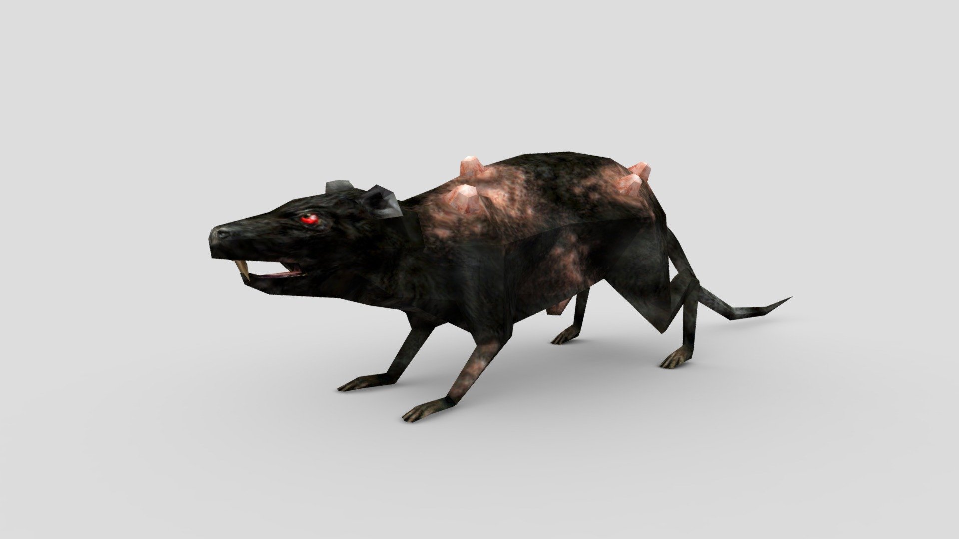 Infected Rat (The Chronicles of Myrtana) - 3D model by Bartłomiej Lach ...