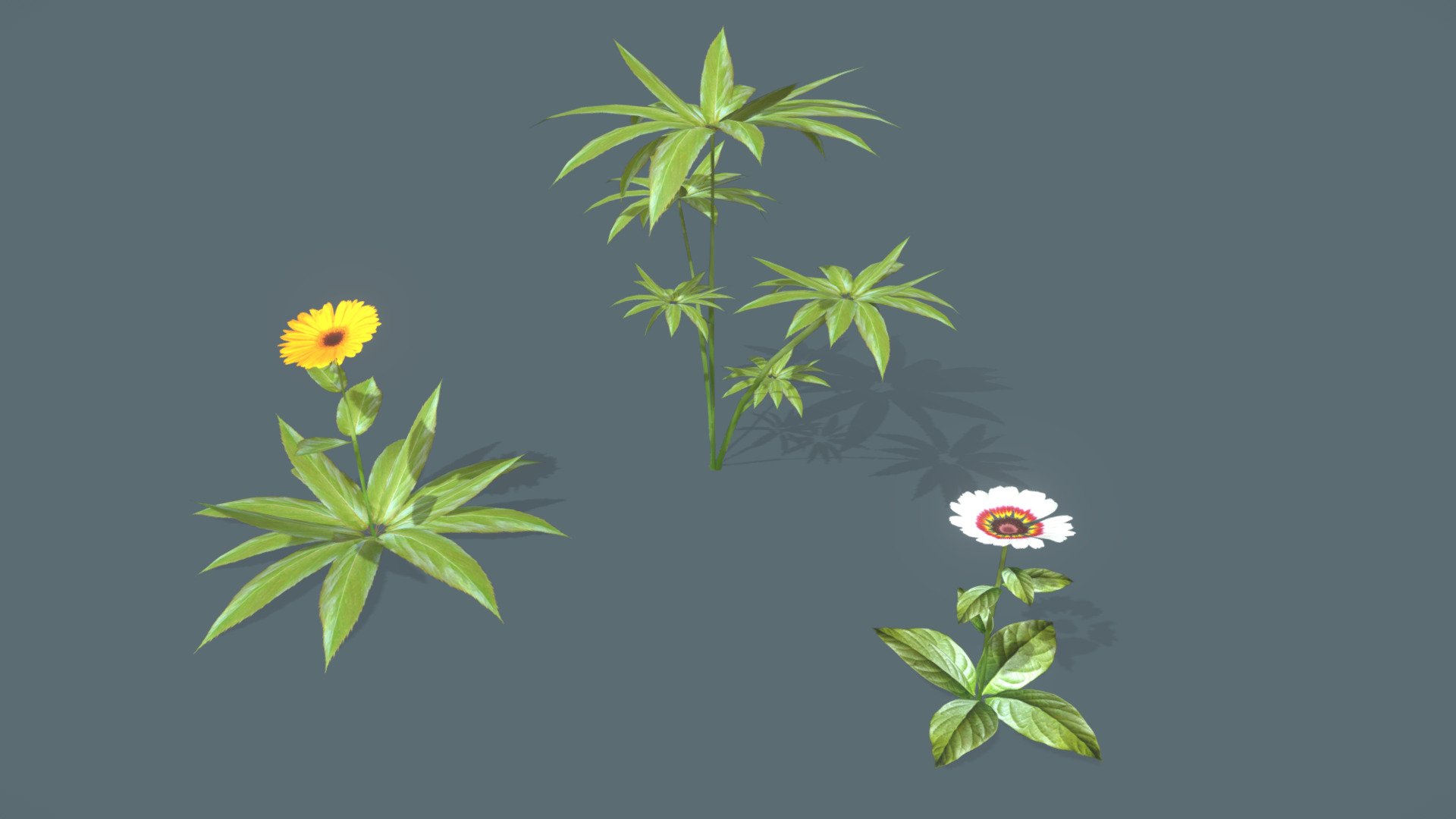 Plants - Download Free 3D model by Adrian Christians (@Aedrian1 ...