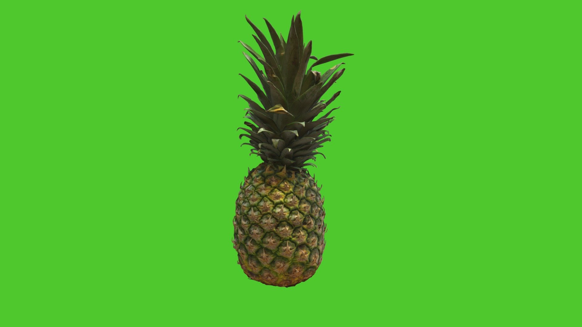 pineapple_model_dslr - Download Free 3D model by tech.service.allwe [cf5f359] - Sketchfab