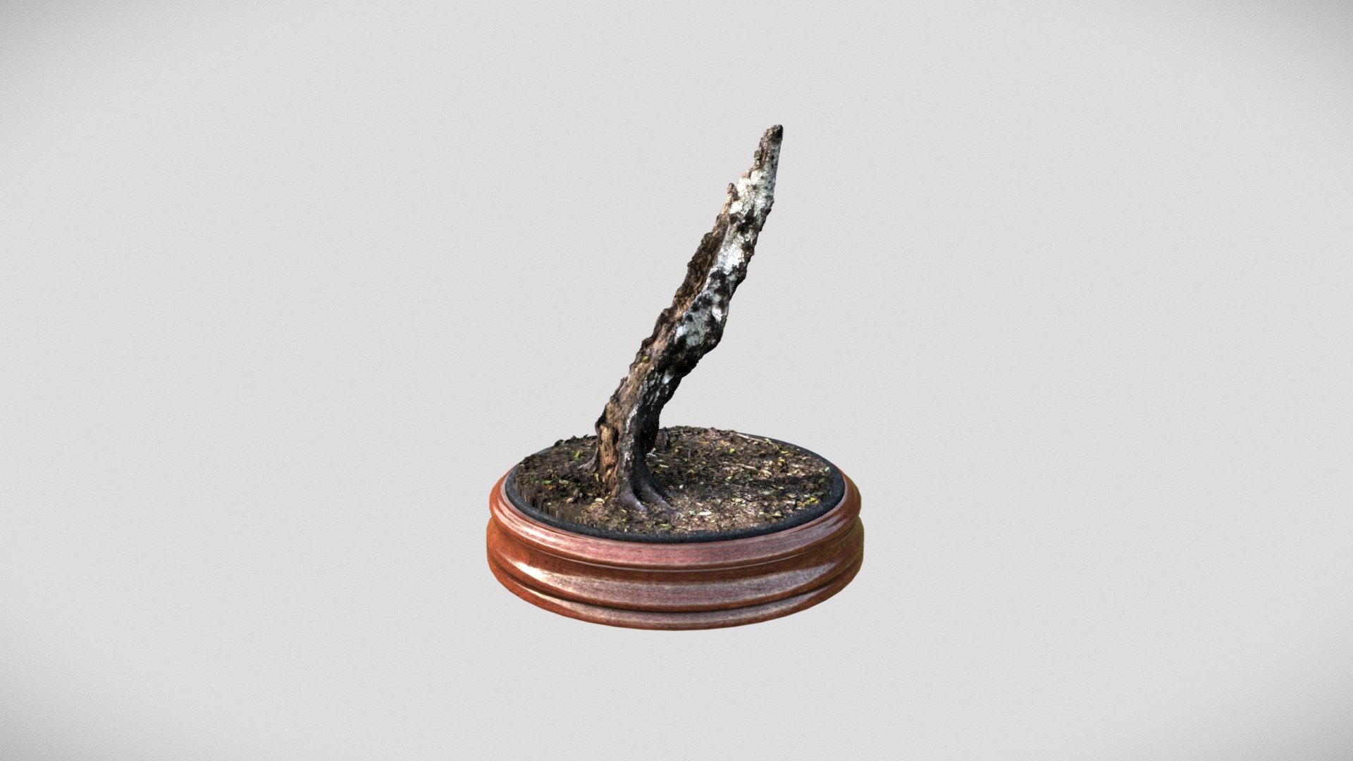 Curved tree trunk photo scan - 3D model by PhilB_CG [cf6162d] - Sketchfab