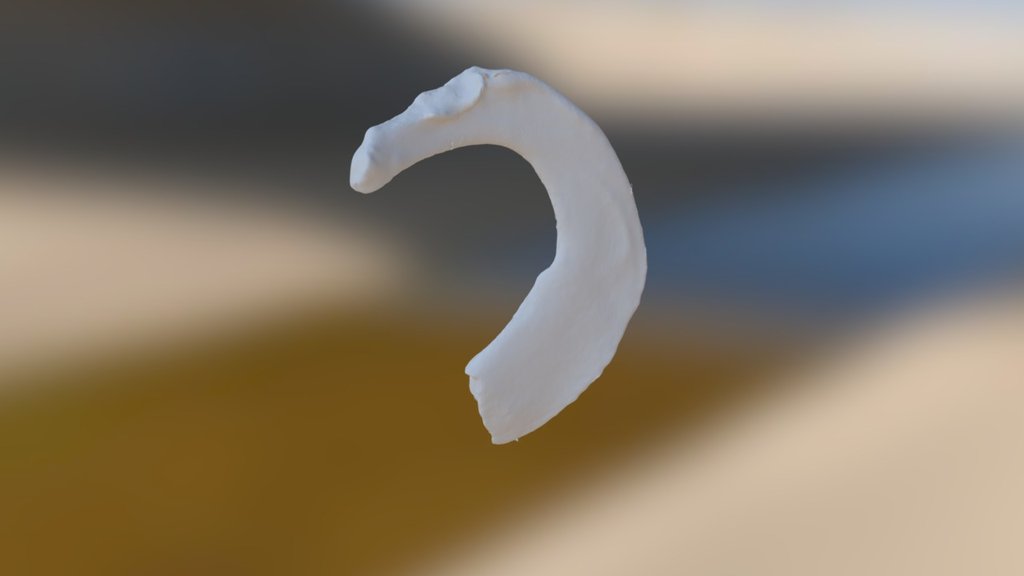 UWF5 First Rib - Download Free 3D model by Mariana Z (@mzechini ...