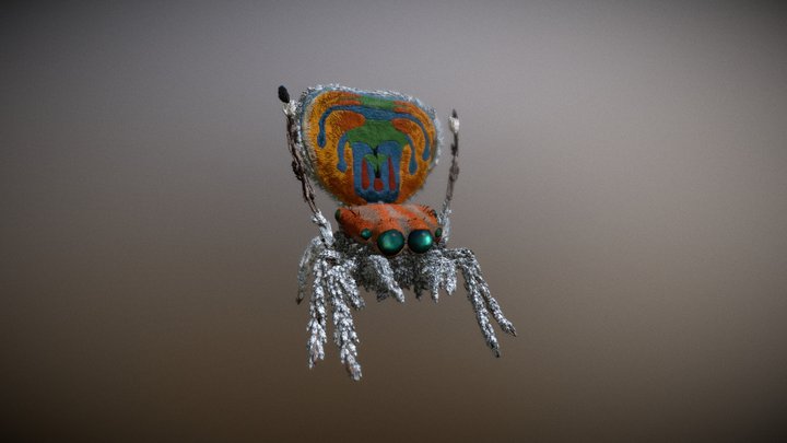 Jurgen 3D models - Sketchfab
