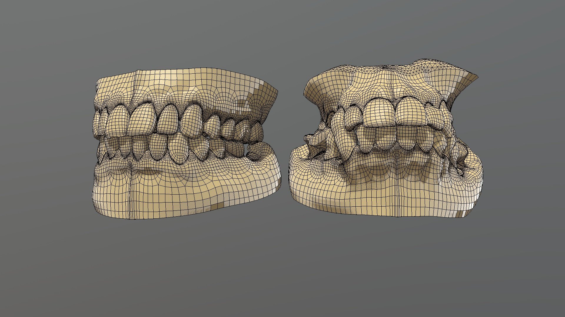 Our Teeth - 3D model by Jonathan Young (@sketchdoc) [cf69dc1] - Sketchfab
