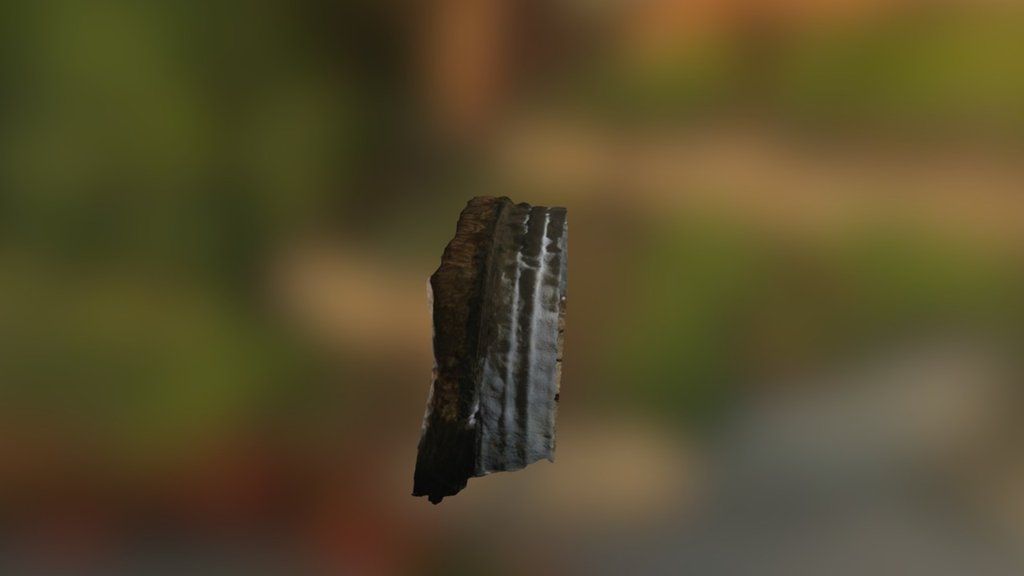 2C462_160922_1000_exc - 3D model by UTO2 (@uto161011uto2) [cf6b4dc ...