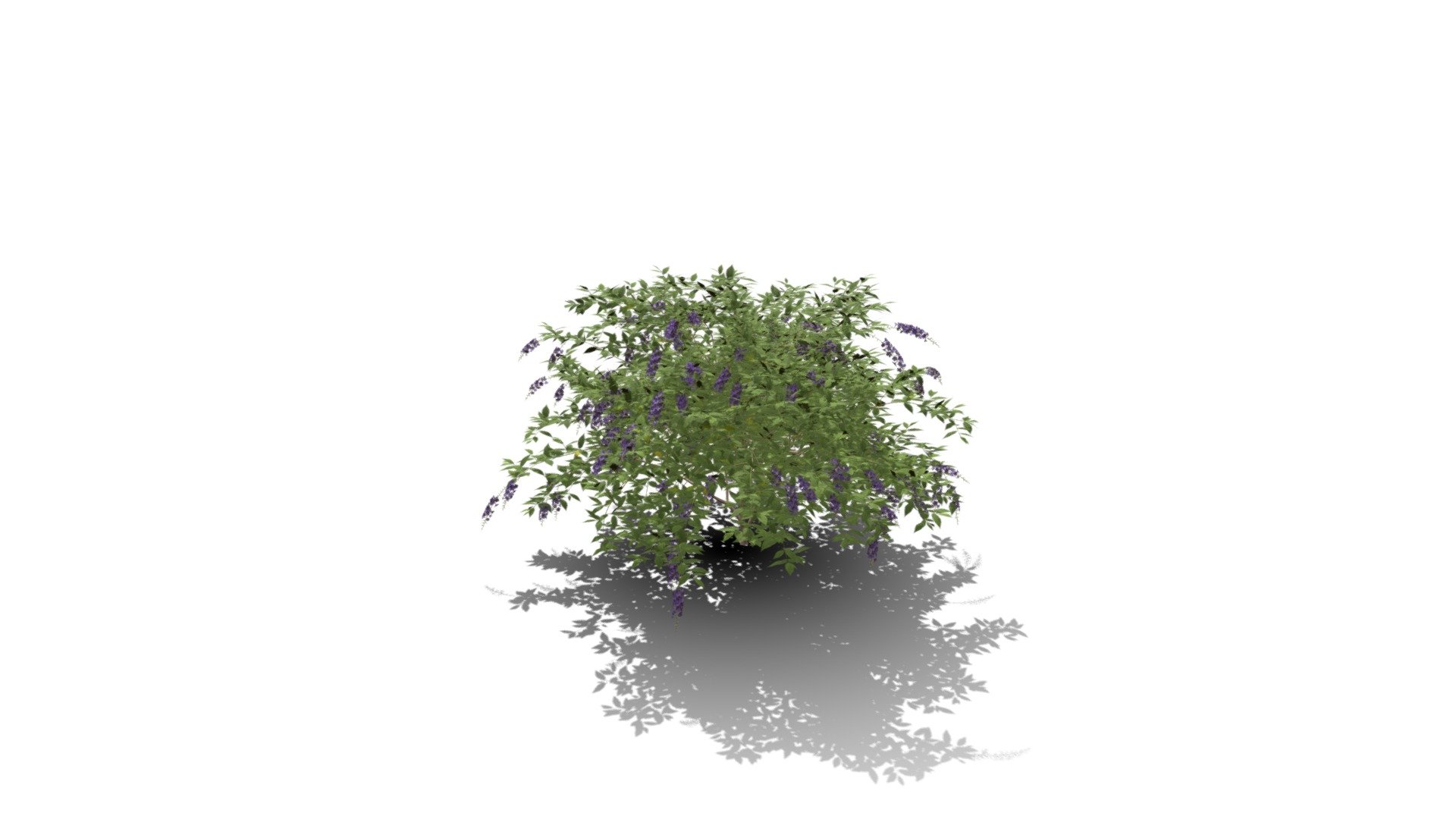 Realistic HD Golden dewberry (2/20) - Buy Royalty Free 3D model by ...