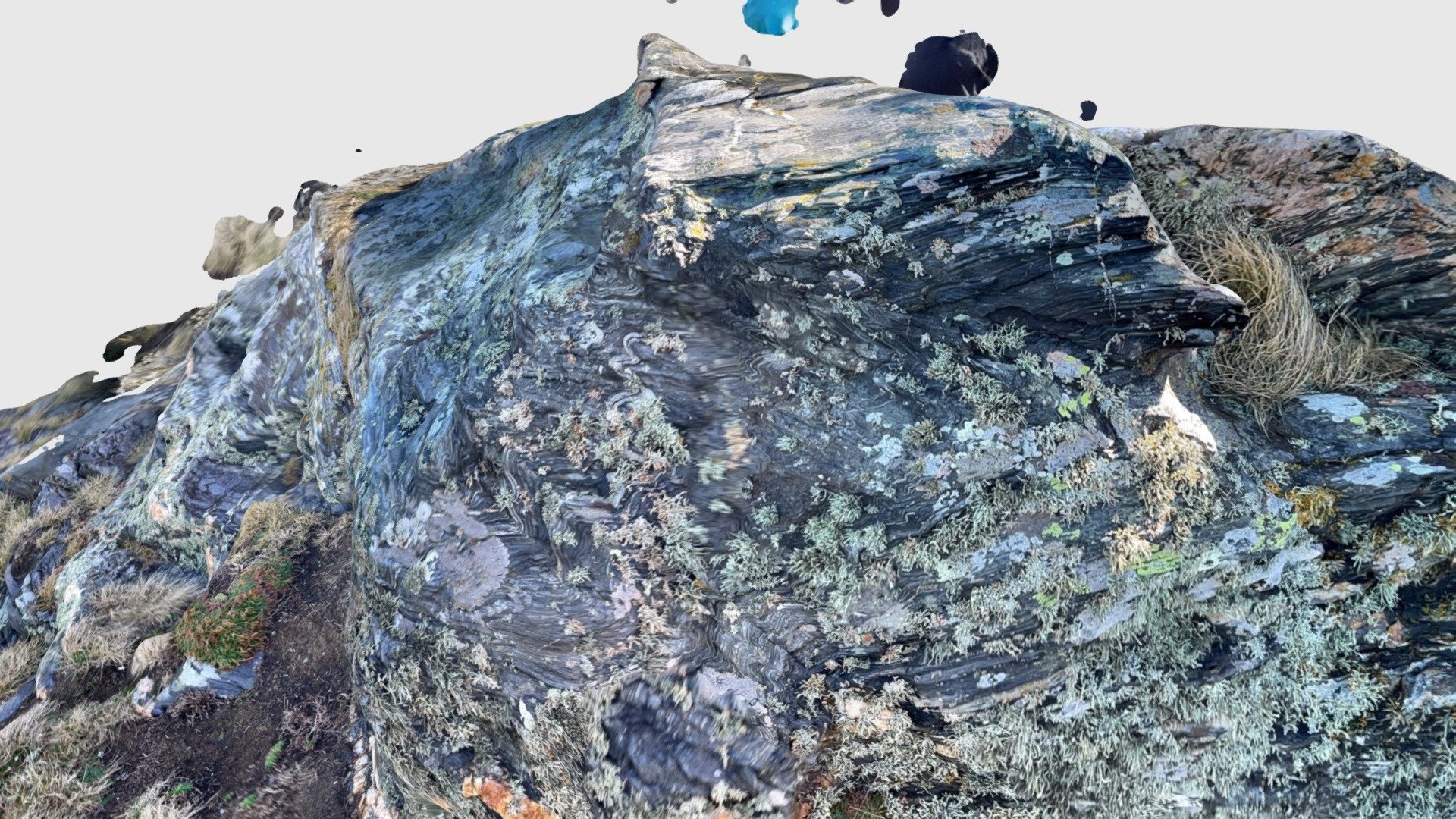 Crenulation at Boscastle - 3D model by felixsihombing [cf72dc3] - Sketchfab