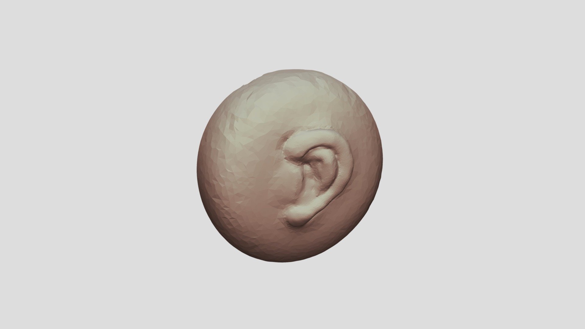 Ear Sculpt - 3D model by oddlord [cf76098] - Sketchfab