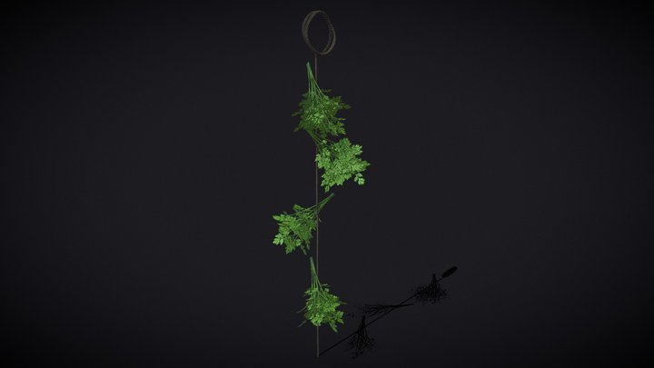 Crops 3D models - Sketchfab