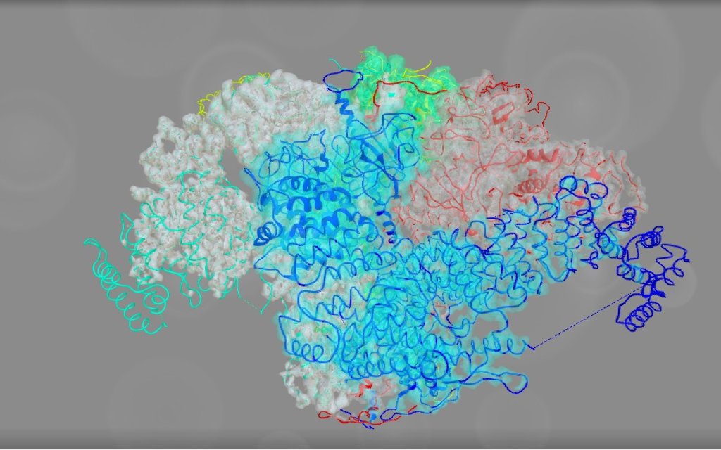 IP3R1 channel in the apo-state - NATURE - 3D model by Interactive 3D ...