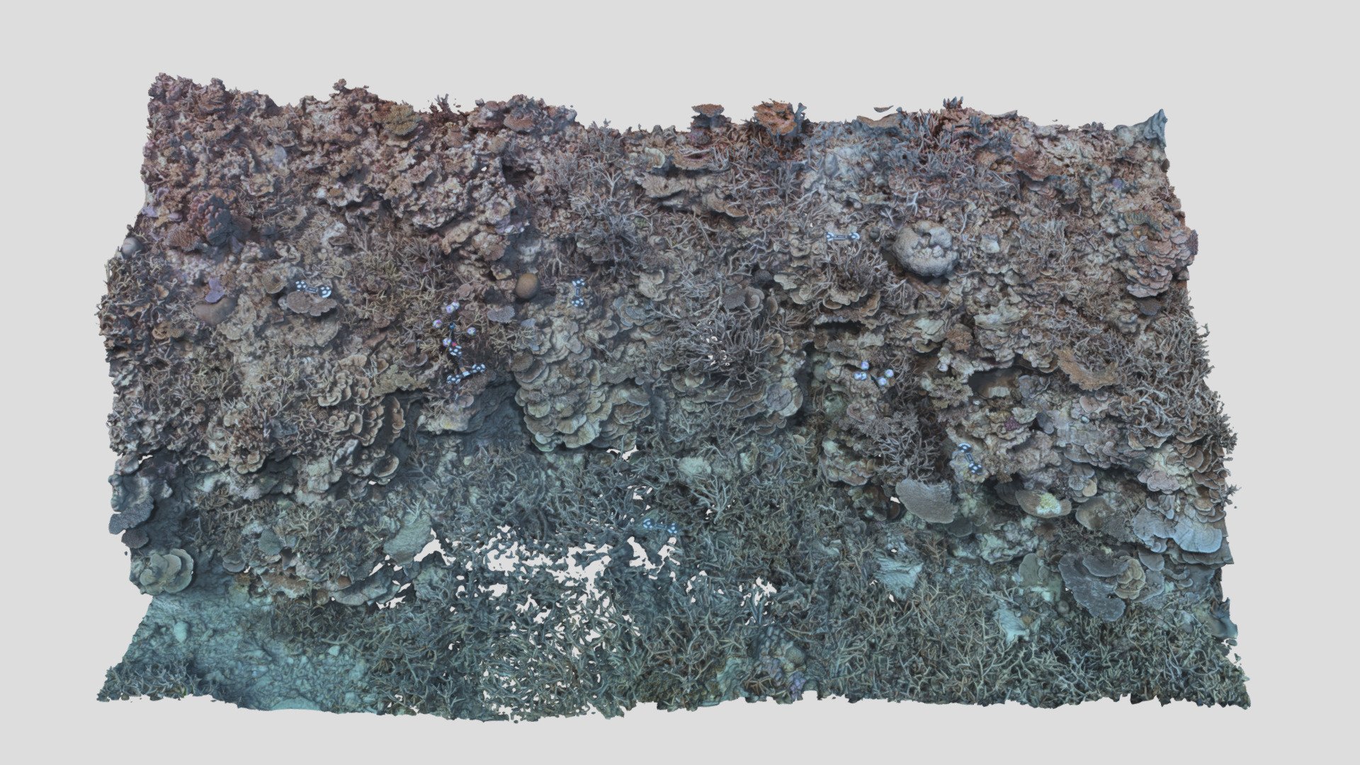 Heron_FL1S_P1_202105 - Download Free 3D model by EcoRRAP (@AIMSEcoRRAP ...