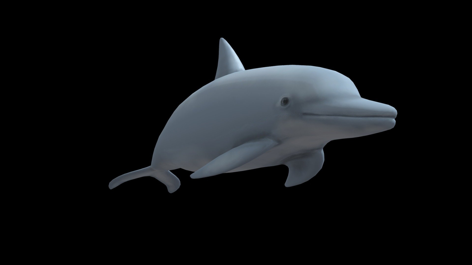 Animated Dolphin Model - 3D model by Mewn (@meewn) [cf85778] - Sketchfab