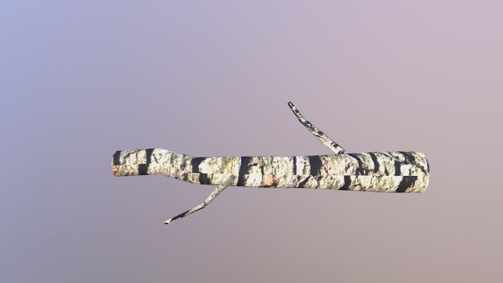 Tree-branch 3D models - Sketchfab