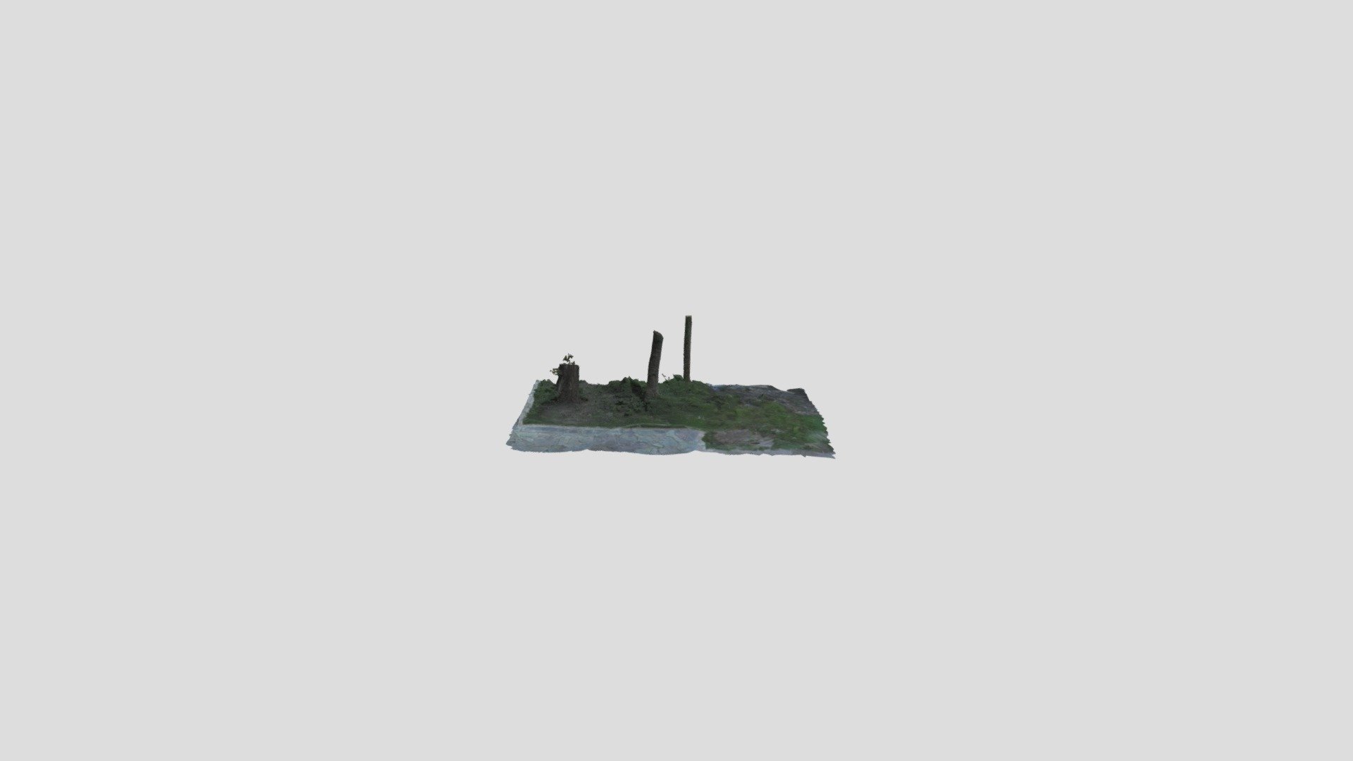 Three trunks - 3D model by FrancoAntua [cf89090] - Sketchfab