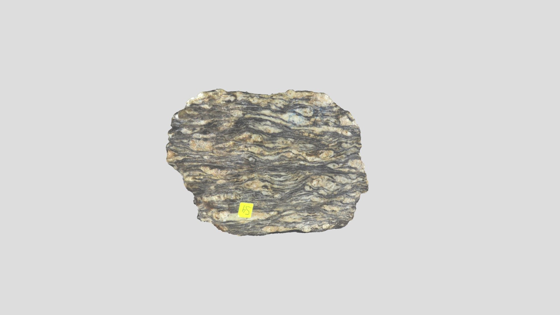 54:Orthogneiss mylonitique/Mylonitic orthogneiss - Download Free 3D ...