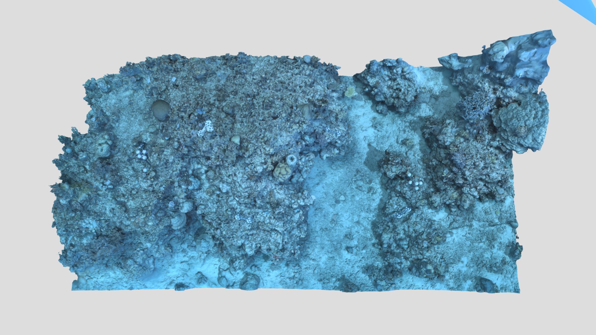Davies_BA2D_P1_202101 - 3D model by EcoRRAP (@AIMSEcoRRAP) [cf9aa99 ...