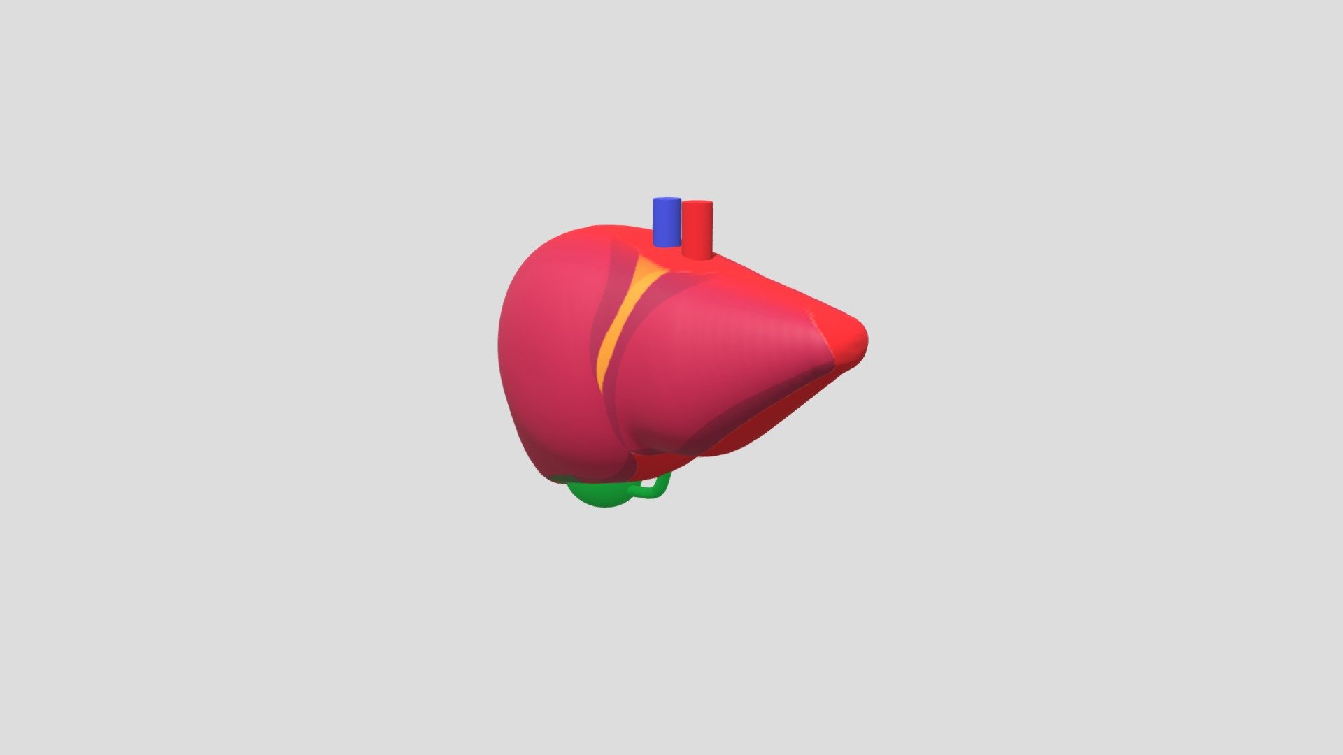 LOBUS - 3D model by Rassy Bintang (@rassy.occy) [cf9af81] - Sketchfab