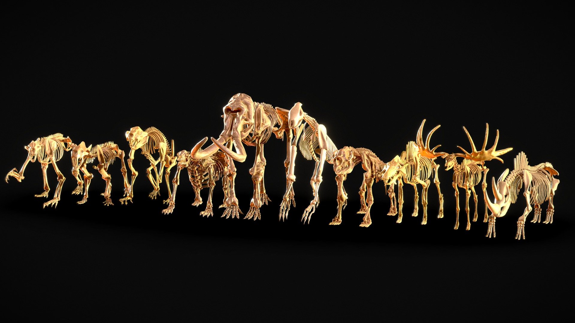 Realistic Mammals Fossil - Bundle Edition - Buy Royalty Free 3D model ...