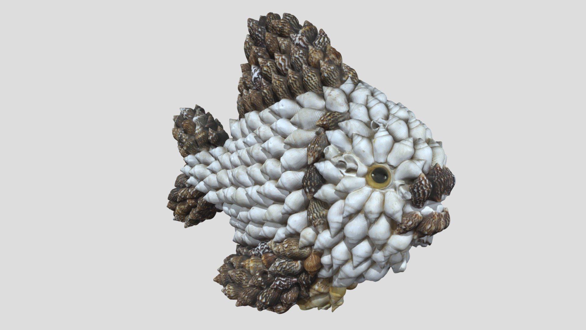 Shell Fish Ornament - 3D model by Ez360 [cfb307f] - Sketchfab