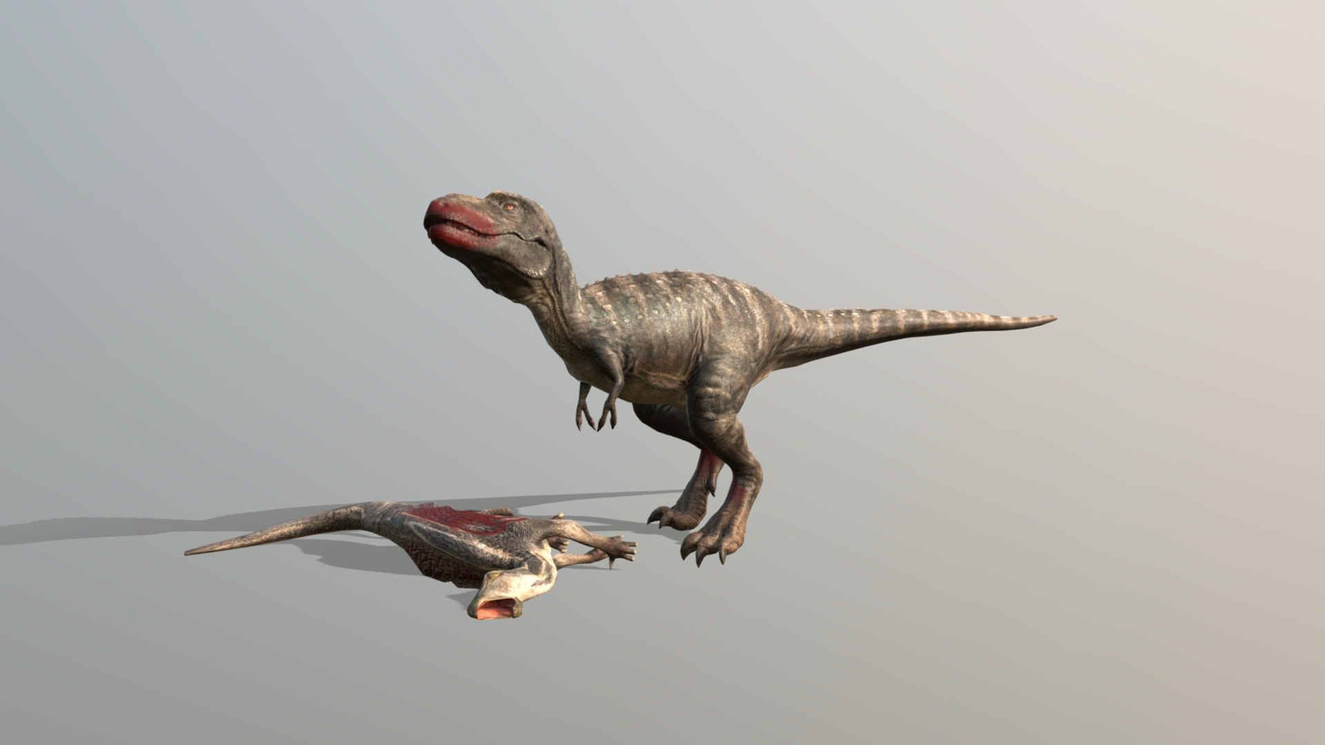 Gorgosaurus Eating - Download Free 3D model by Nobilis the Palaeovespa ...