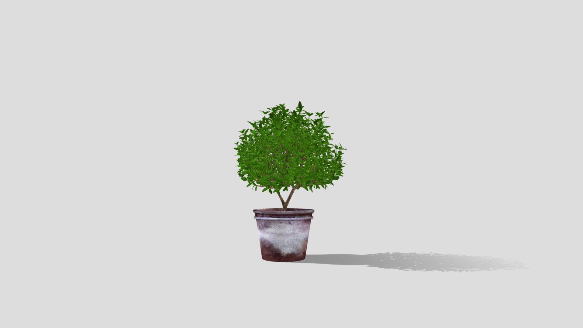 topiary-L - 3D model by 22366797 [cfc6148] - Sketchfab
