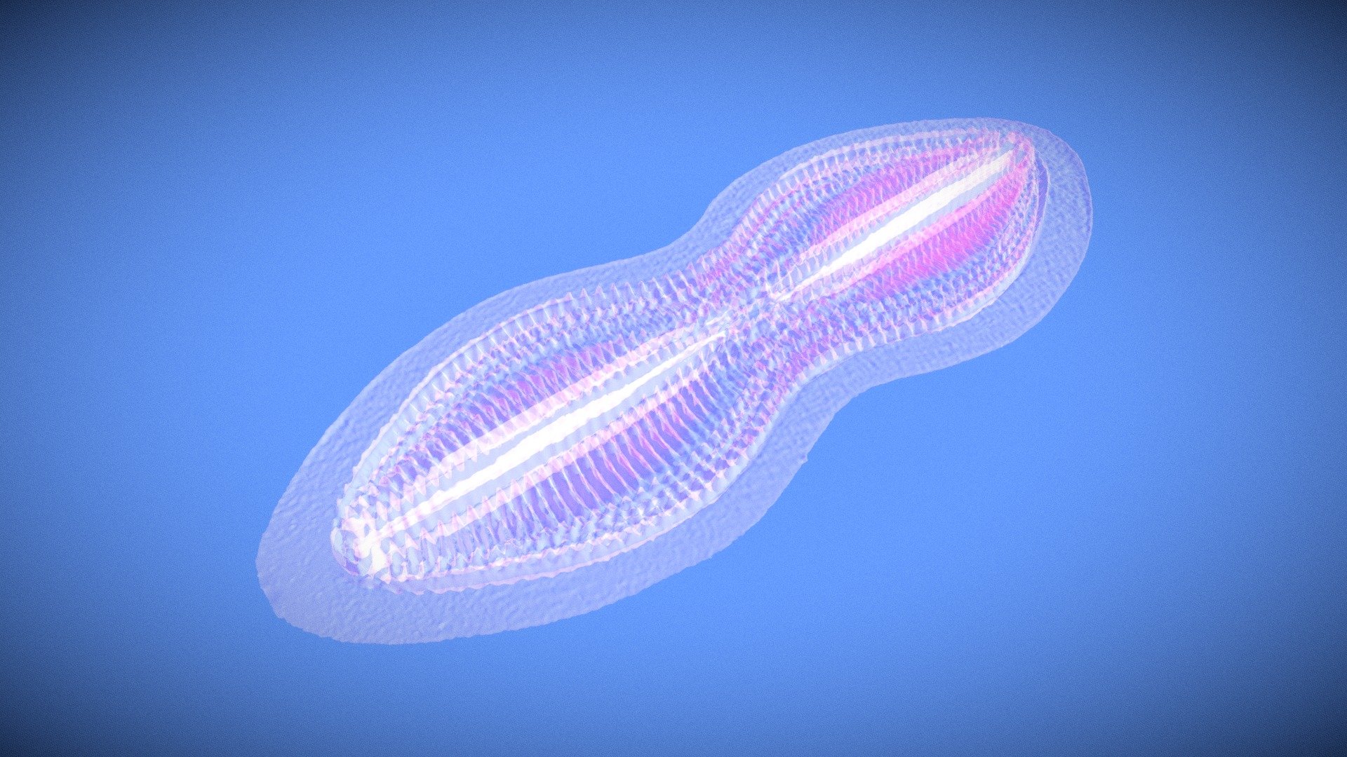 Diatom - Buy Royalty Free 3D model by PARSONSARTS (@tomparsons ...