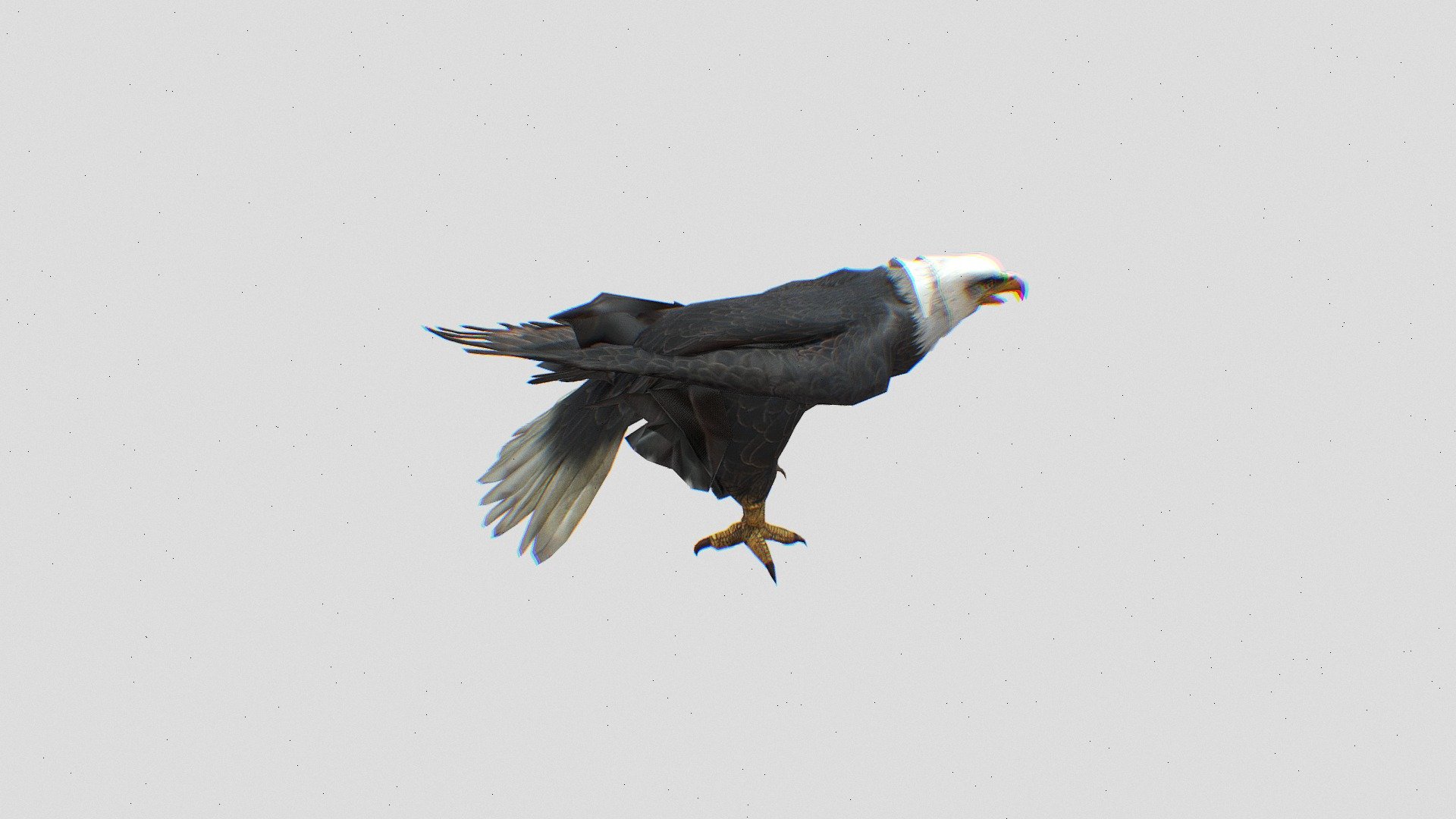 Rigged Eagle 3D Model - Download Free 3D model by burakbudakdesign ...