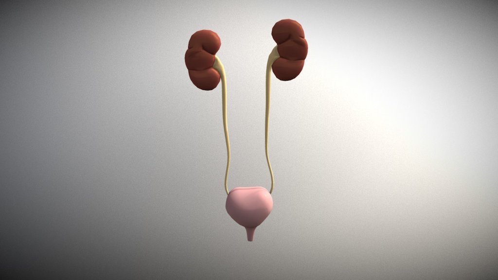 Rins - 3D model by luizfpaulucci [cfdc96a] - Sketchfab