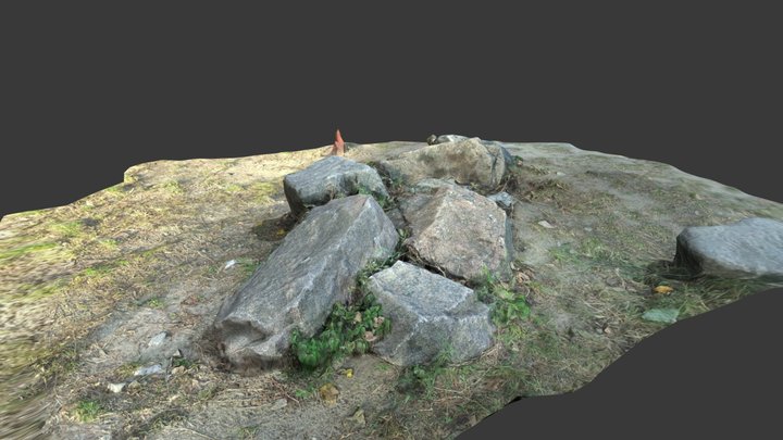 Megascans 3D models - Sketchfab