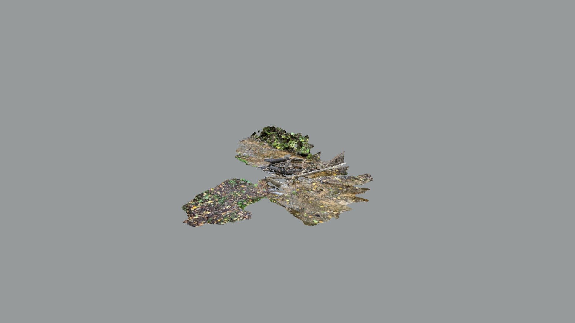 Koki uz strautina - Download Free 3D model by tribeimmersive [cff0e34 ...