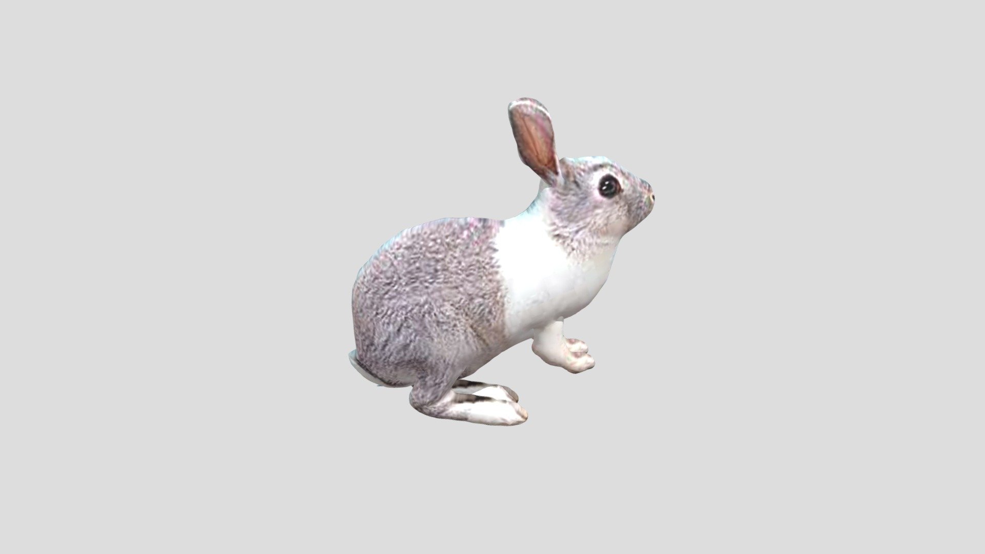 Mm Project (2) - Download Free 3D model by a955025 [cffb3ad] - Sketchfab