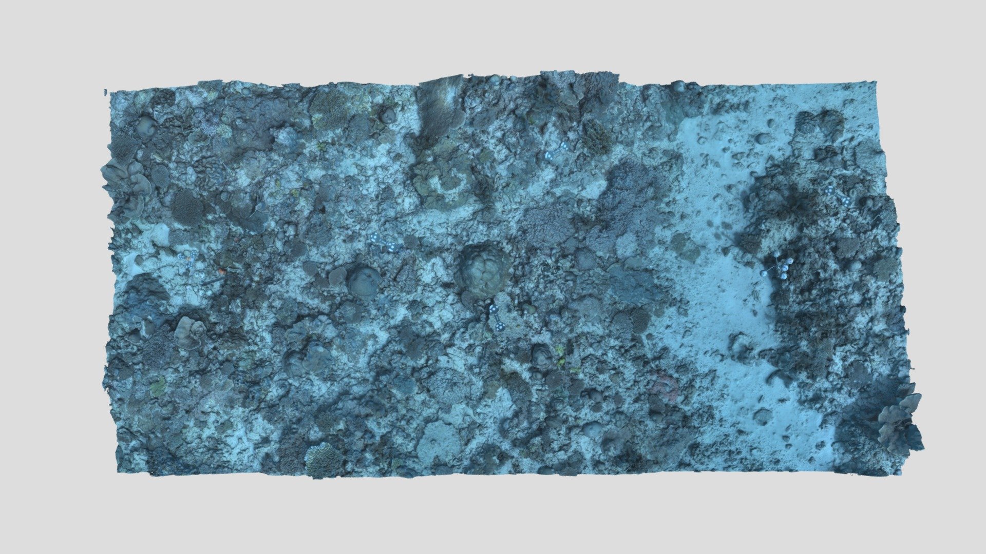 Heron_BA1D_P2_202305 - 3D model by EcoRRAP (@AIMSEcoRRAP) [cffc501 ...