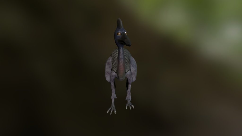 Dodo - 3D model by lewismarks1 [cffd5e4] - Sketchfab