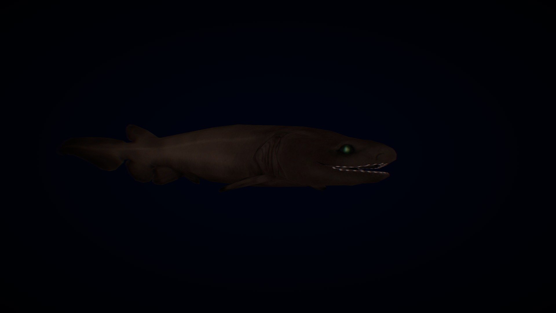 Southern African Frilled Shark Styilized - 3D model by sharkingaround ...
