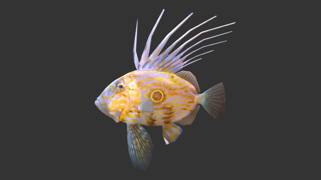 Zeus Faber - 3D model by YOURS (@double2) [d0101a3] - Sketchfab