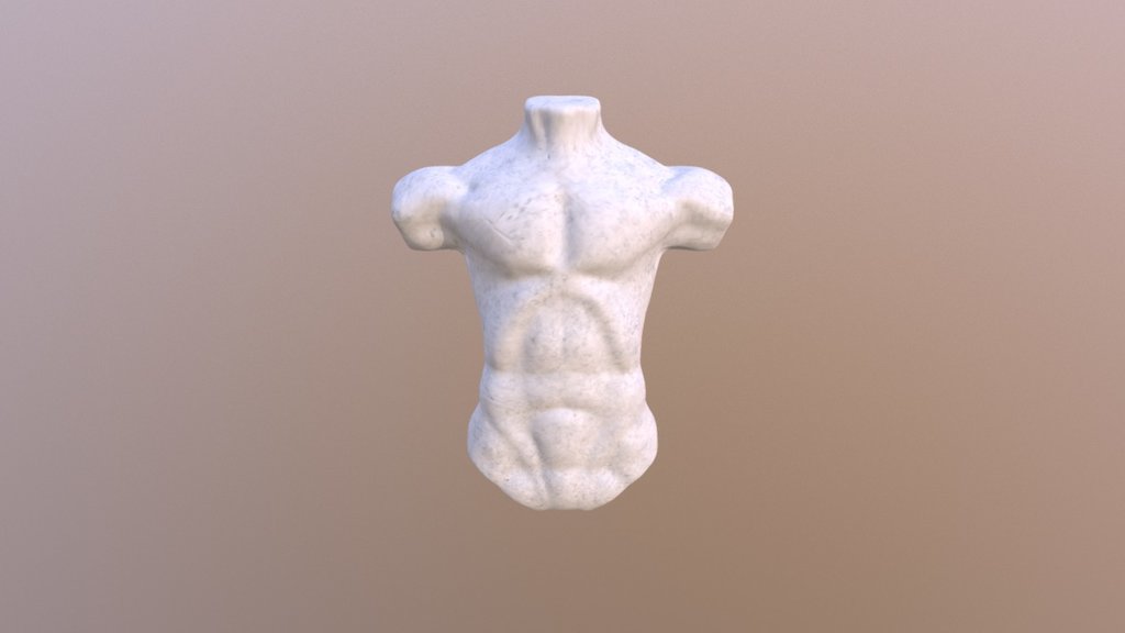 Torso Sculpt - 3D model by dparson [d0104ed] - Sketchfab