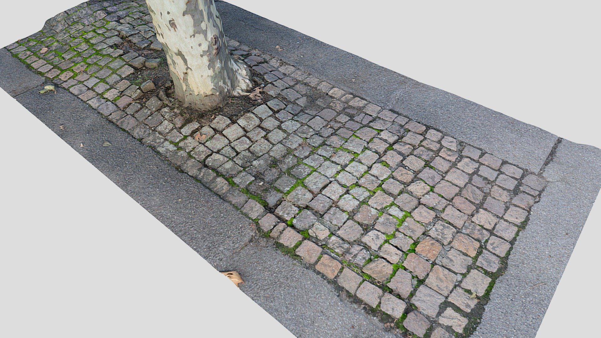 Ground Scan 8k 036 - Buy Royalty Free 3D model by immerge [d012211 ...