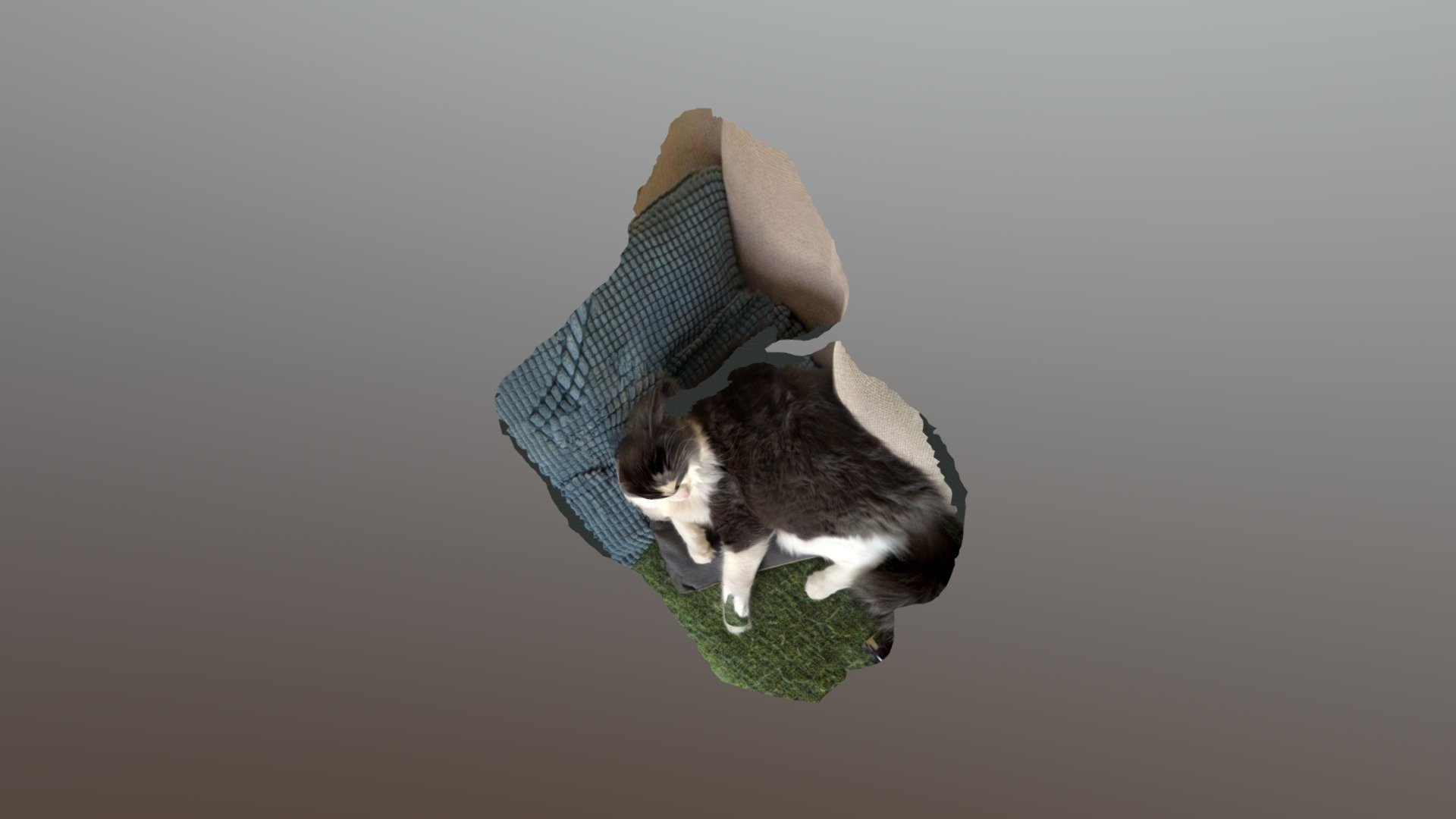 catscan - Download Free 3D model by LindaHaernes [d02db66] - Sketchfab