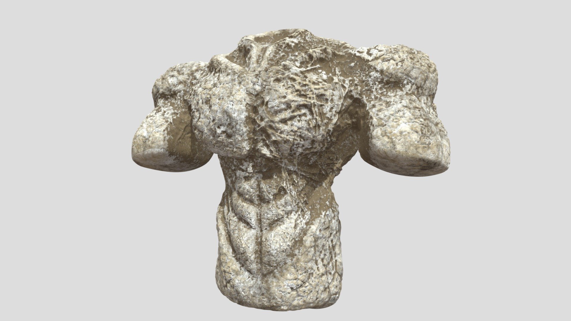 Male / Monster Torso Bust - Download Free 3D model by Intee Assets ...