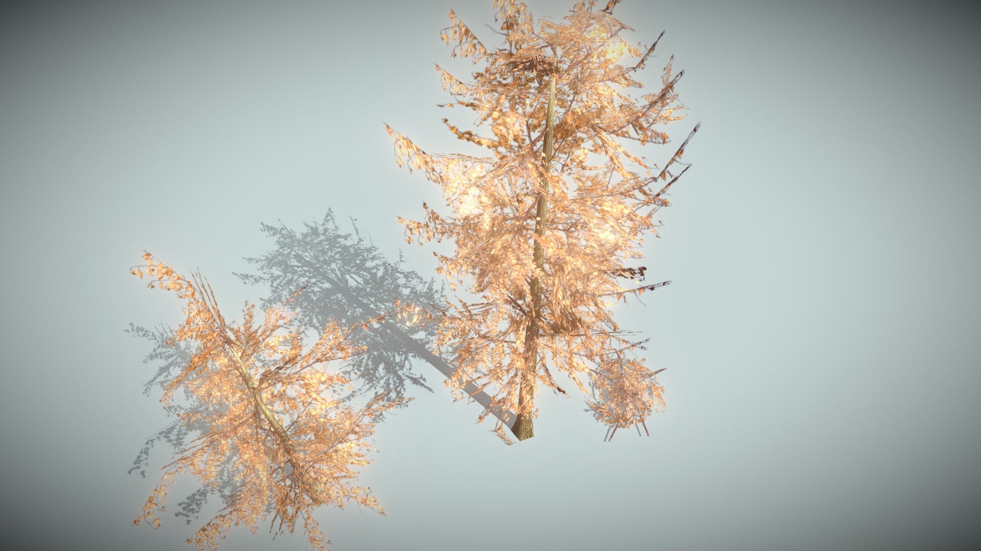Free Optimized Trees - Download Free 3D model by Unhinged (@debartifr ...