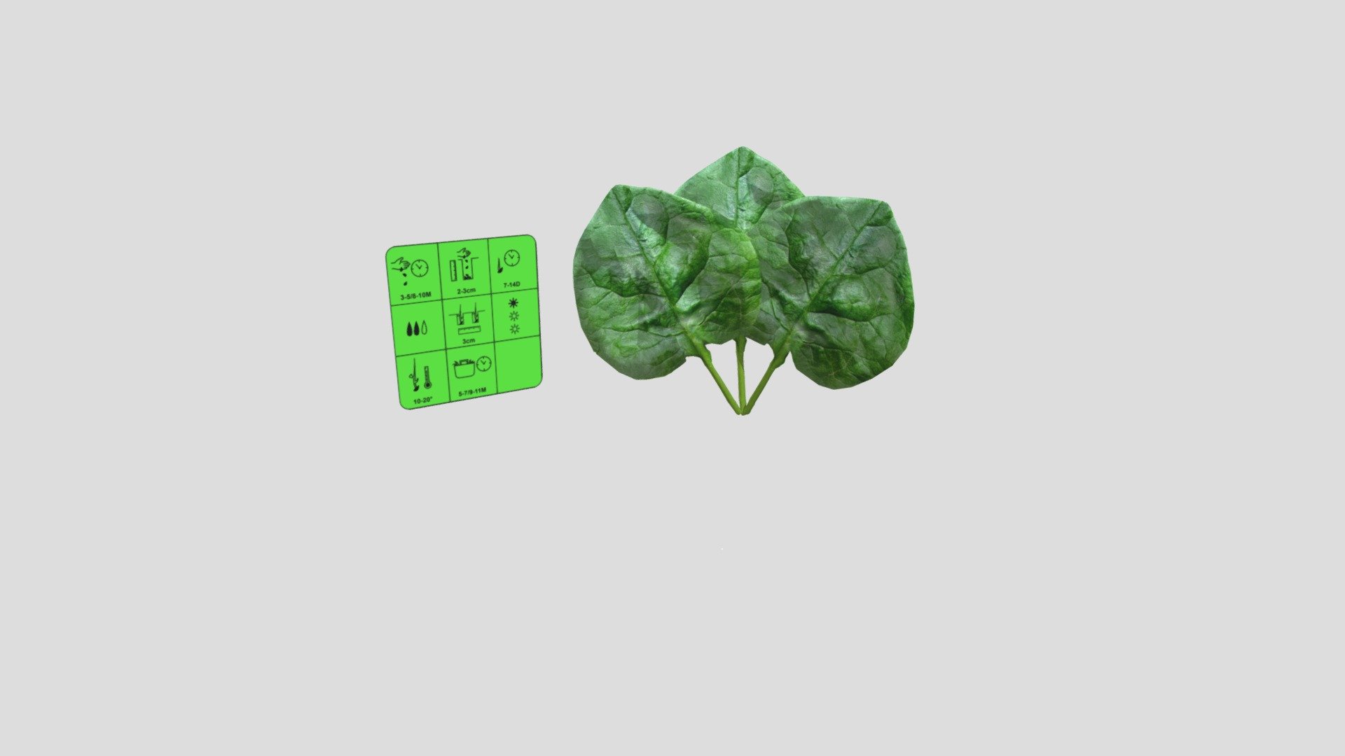 9_spinach_new_sign - Download Free 3D model by karlosdrechsler [d04bc88 ...