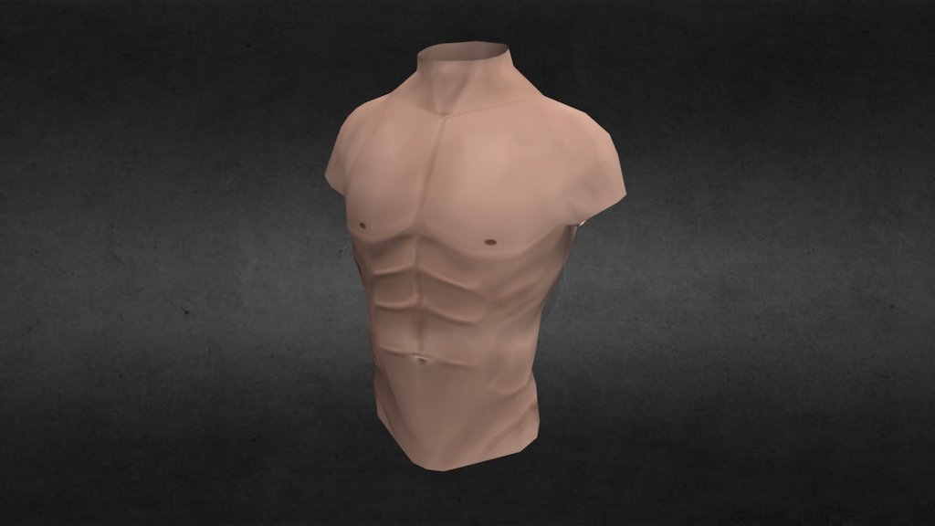 Torso - 3D model by alexnoiseless [d04ffd9] - Sketchfab