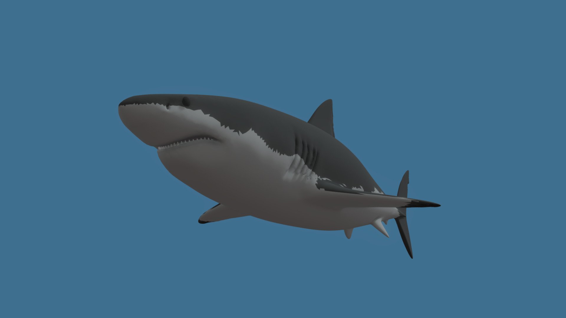 Shark - Download Free 3D model by holamgadol [d054261] - Sketchfab