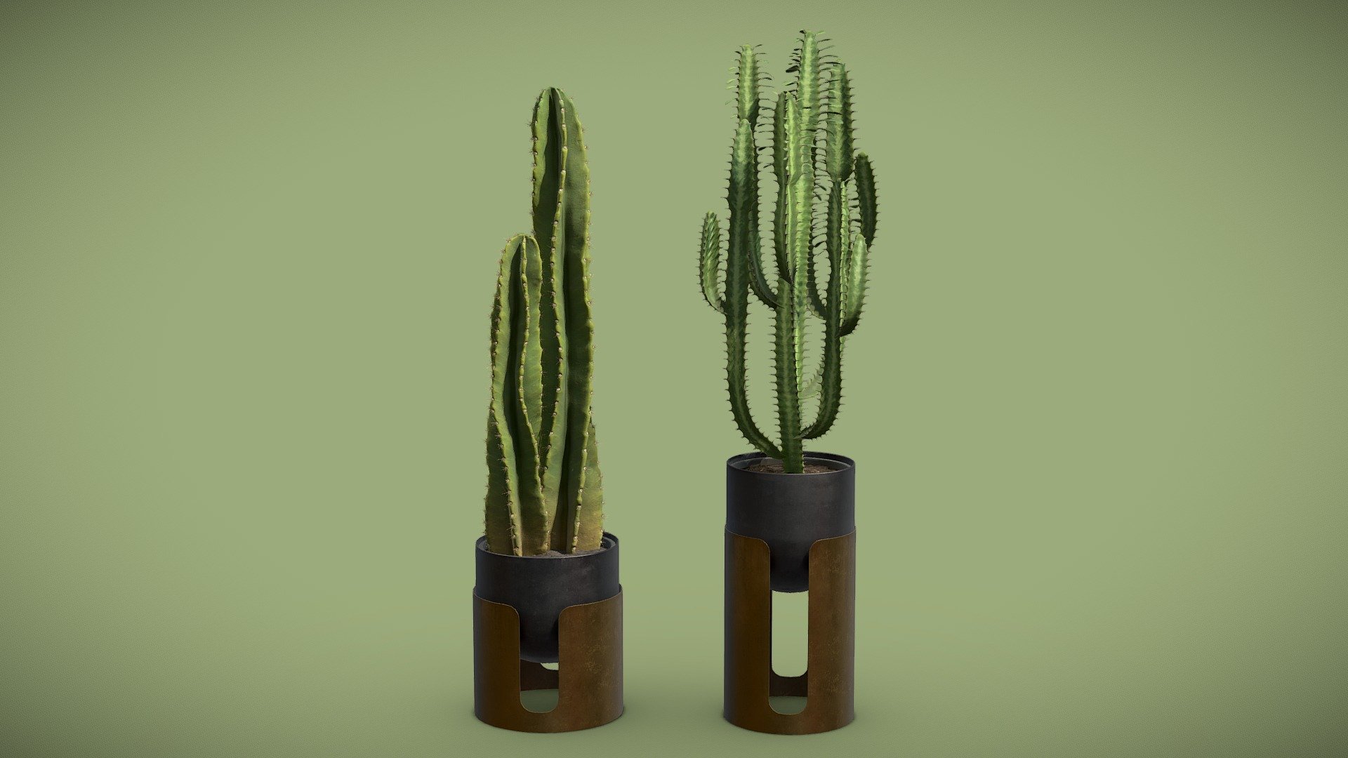 Cactus Pack 04 - Buy Royalty Free 3D model by AllQuad [d055b44 ...