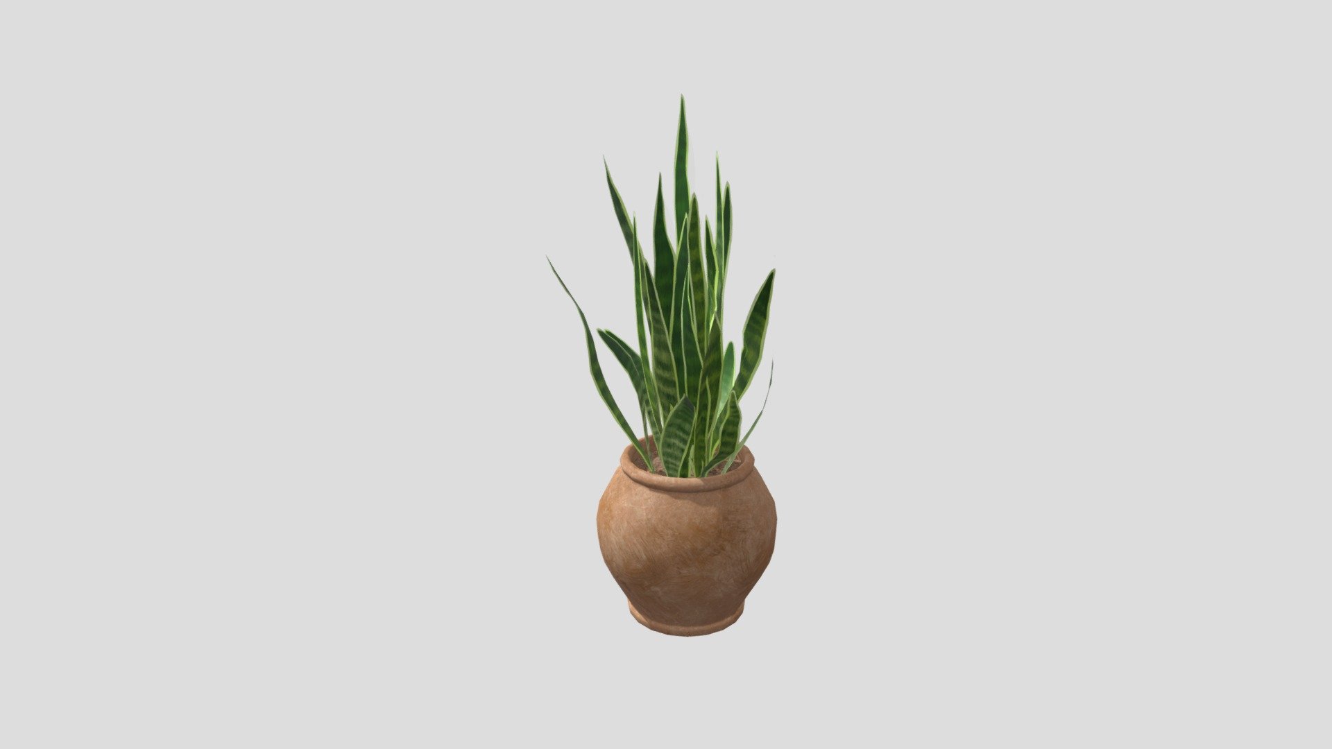 Potted Snake Plant - Download Free 3D model by Miranda Koulogeorge ...