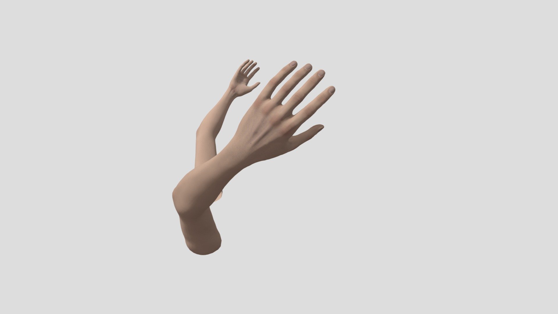 SK_Female_Hands - 3D model by Julia.Gencheva [d05c465] - Sketchfab